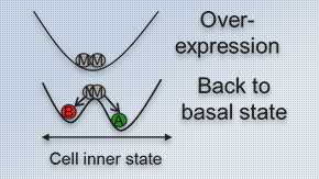 Synthetic biology reveals mechanism of gene-overexpression to induce ...