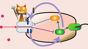 How "Maxwell's demon" works inside living cells | Tokyo Tech News ...