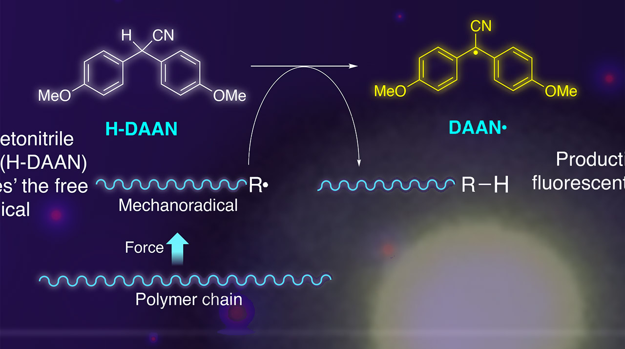 Taking a Shine to Polymers: Fluorescent Molecule Betrays the Breakdown ...