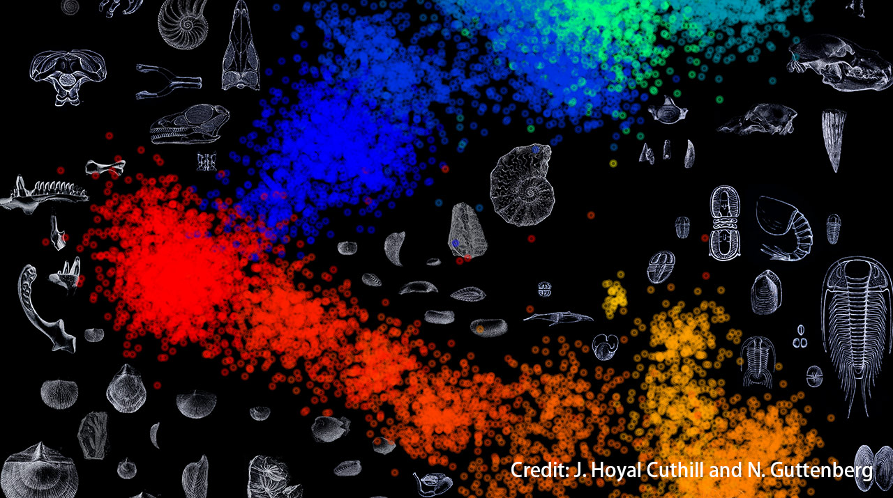 Artificial Intelligence Finds Surprising Patterns in Earth's Biological ...