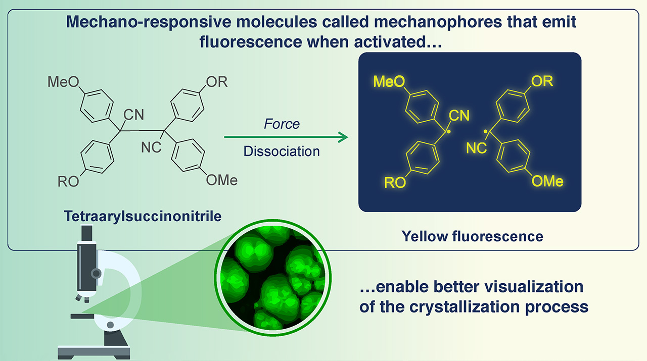 Mechanophores: Making Polymer Crystallization Processes Crystal Clear ...