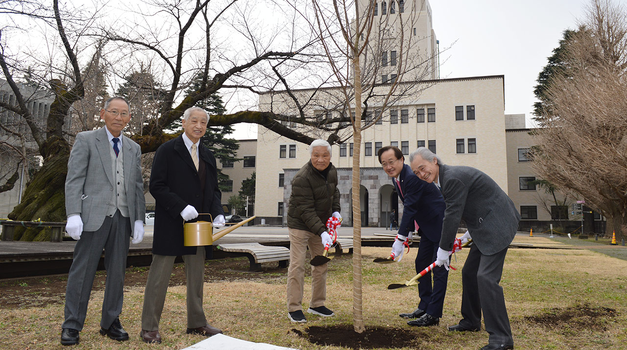 Gifts ensure sakura on Ookayama Campus for future generations | Tokyo ...