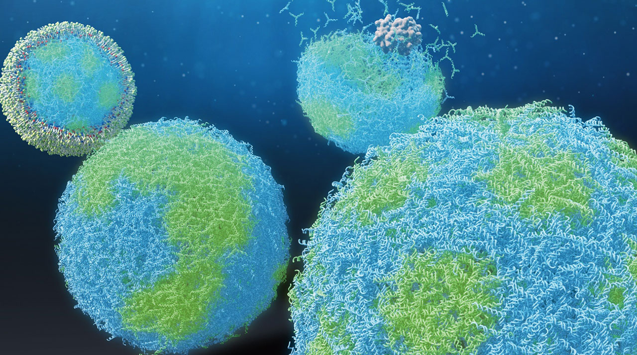 The changing patterns of DNA microcapsules | Tokyo Tech News | Tokyo ...
