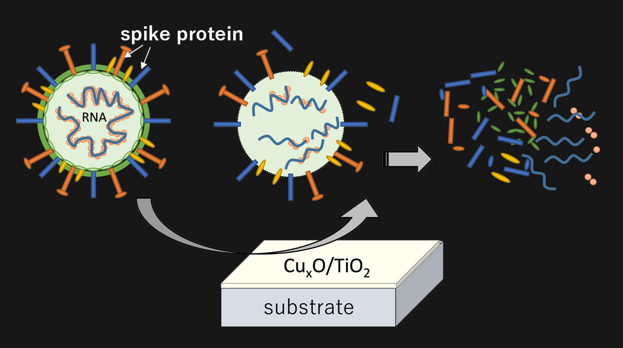 Scientists Develop Indoor-active Photocatalyst for Antiviral Coating ...