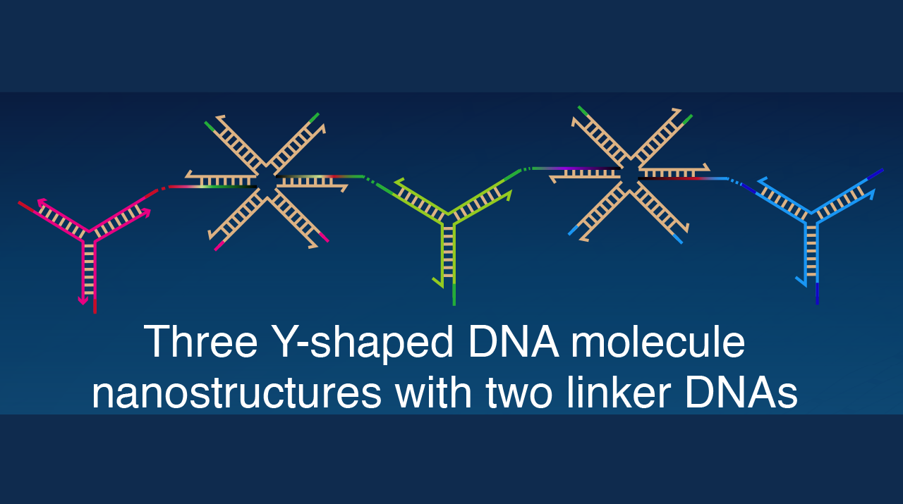Novel Method for Early Disease Detection Using DNA Droplets | Tokyo ...