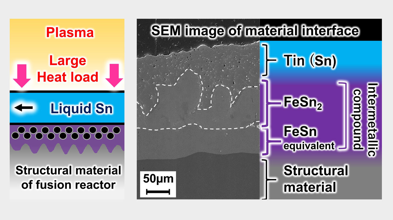 Mitigating corrosion by liquid tin could lead to better cooling in ...