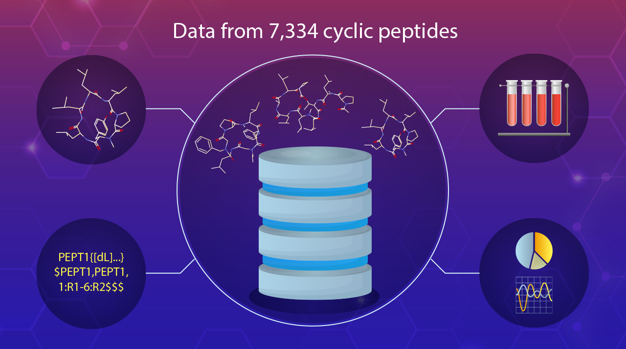 CycPeptMPDB: A Database Aimed at Promoting Drug Design Using Cyclic Peptides | Tokyo Tech News ...