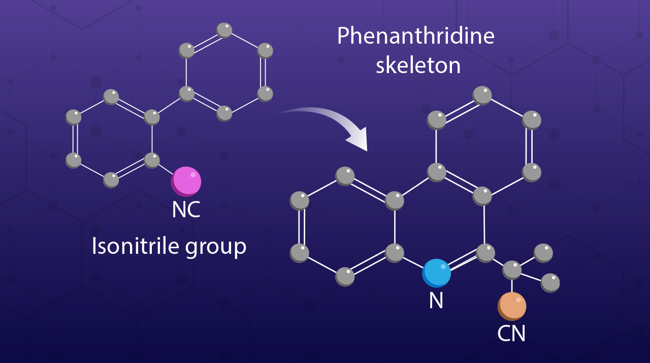 Towards Synthesis of Phenanthridine-Based Pharmaceutical Compounds ...