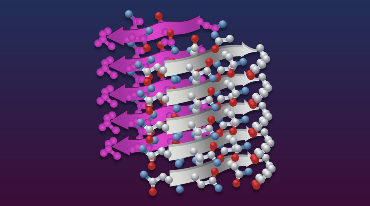 Steric Zipper Interactions in Artificial Crystalline Peptide β-Sheets ...