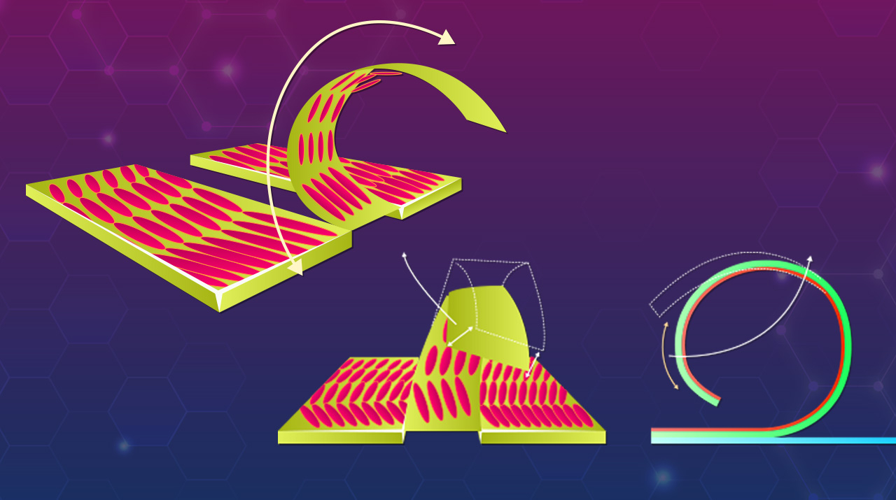 A Novel Method for Easy and Quick Fabrication of Biomimetic Robots with ...