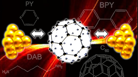 Across the metal–molecule interface: Observing fluctuations on the ...