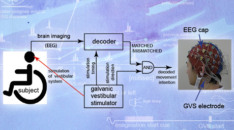 Reading the motor intention from brain activity within 100 ms | Tokyo ...