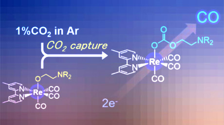 Scientists achieve direct electrocatalytic reduction of CO2, raising ...