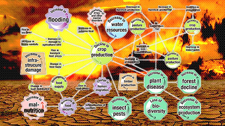 Visualizing the interconnections among climate risks Contributing to ...