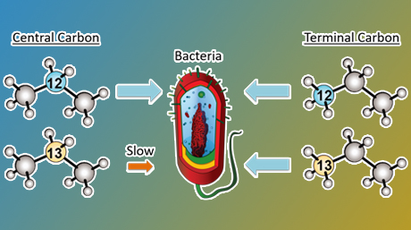 Tokyo Tech Scientists Discover Deep Microbes' Key Contribution to Earth ...