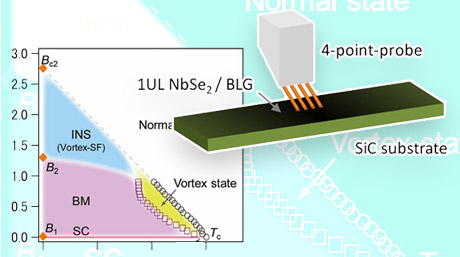 A peculiar ground-state phase for superconductor NbSe2 ―It's a Bose ...