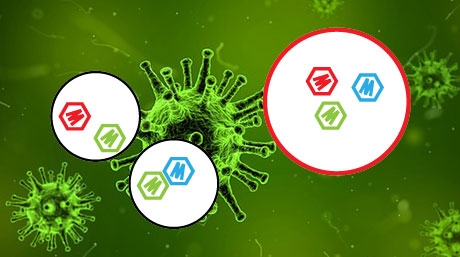 Why multipartite viruses infect plants rather than animals | Tokyo Tech ...