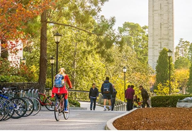 Berkeley Summer Sessions | 留学・国際経験 プログラム | 留学ガイド | 在学生の方 | 東京工業大学